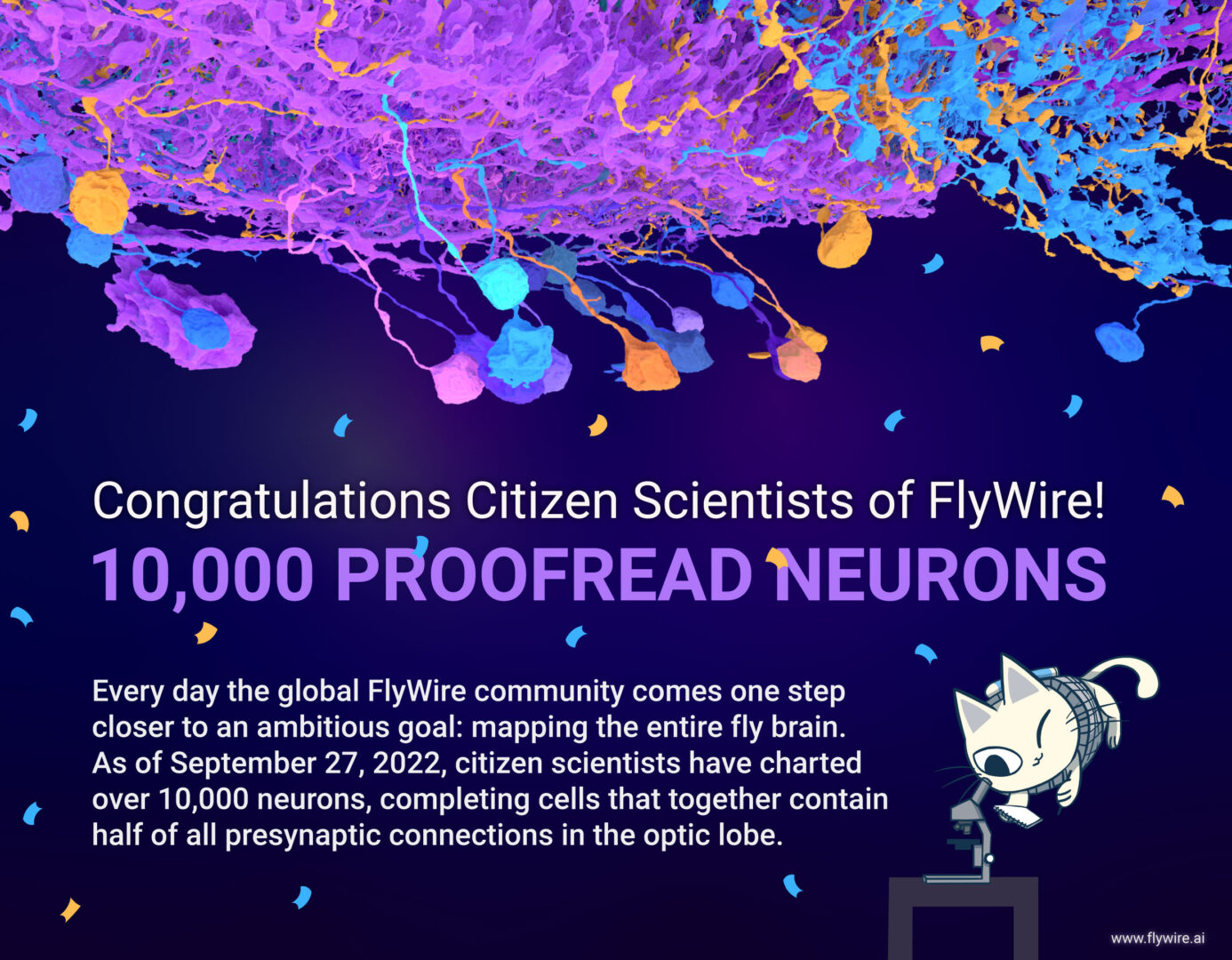FlyWire Blog - An open community for whole brain connectomics.