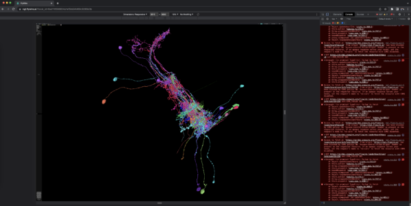 FlyWire Blog - An open community for whole brain connectomics.