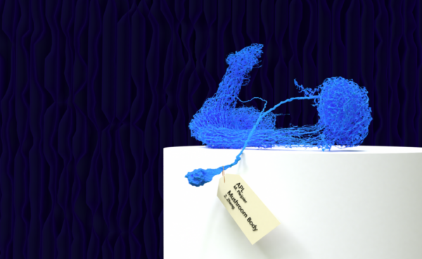 FlyWire Blog - An open community for whole brain connectomics.