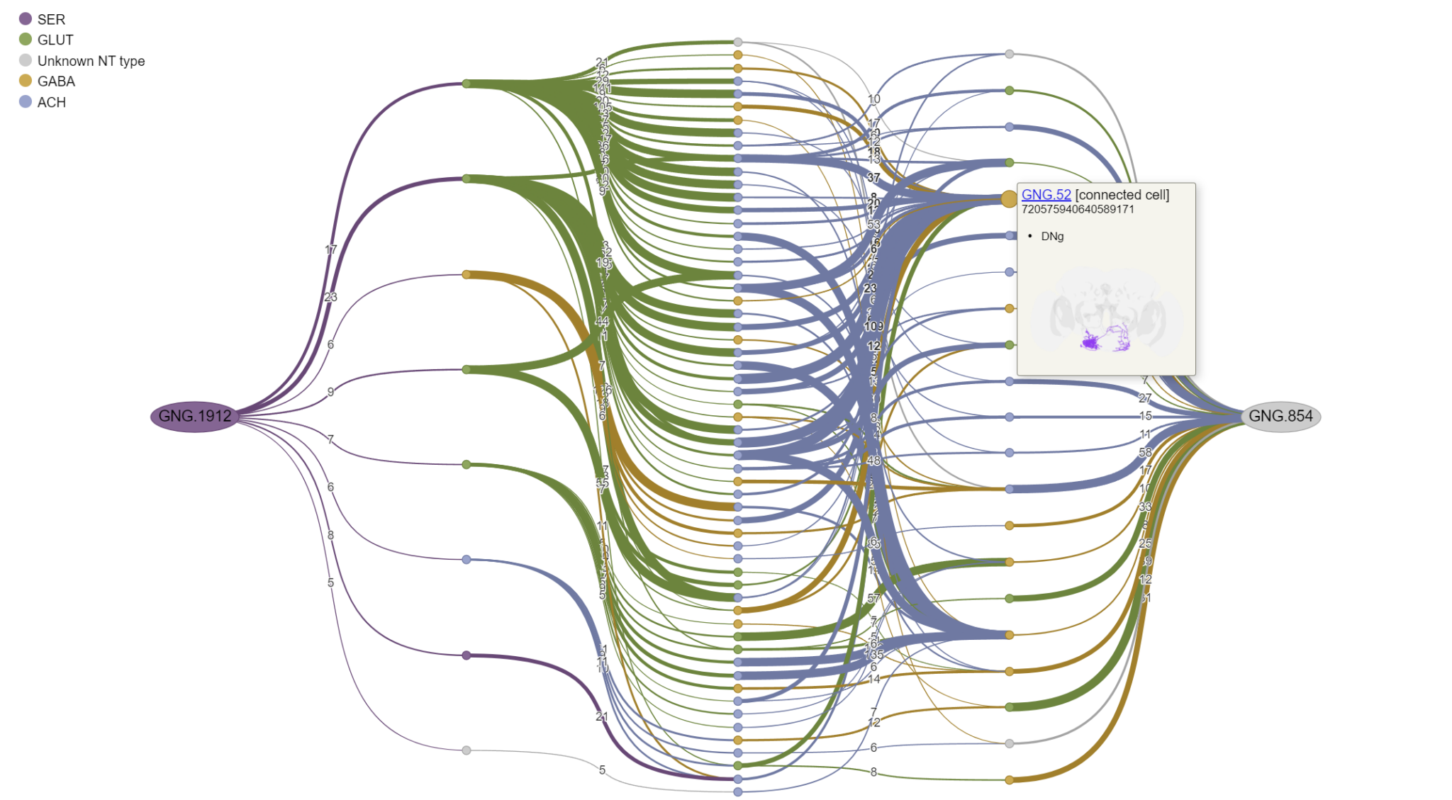 FlyWire Blog - An open community for whole brain connectomics.